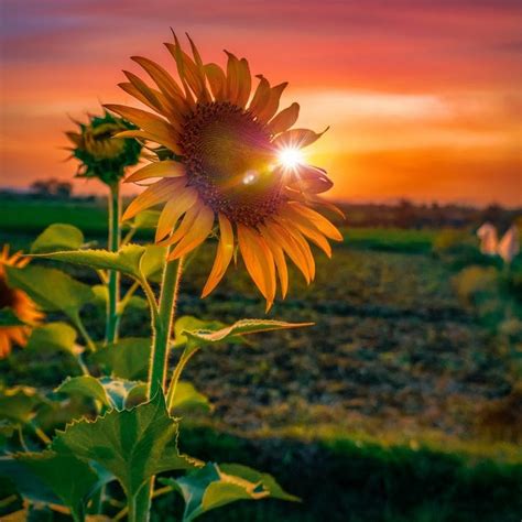 Nurul Fadhillah Youtube