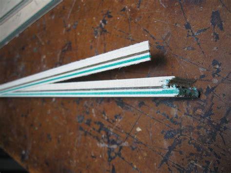 Anatomy Of A Rosette Fernando Moreno