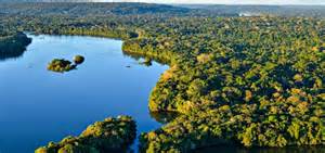 Novo Sistema Vai Monitorar 100 Do Bioma Da Amazônia Diariamente Metro 1