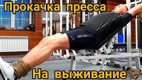 КАЧАЮ ПРЕСС В СПОРТЗАЛЕ С ПОМОЩЬЮ ТРЕНАЖЕРОВ ЛУЧШИЕ УПРАЖНЕНИЯ ДЛЯ ПРЕССА Youtube