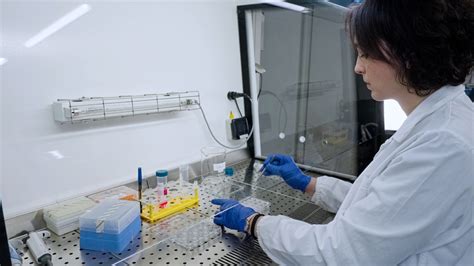 Video Preparation Of A Basic 3d Reconstructed Intestinal Mucosa Model For Microscopic