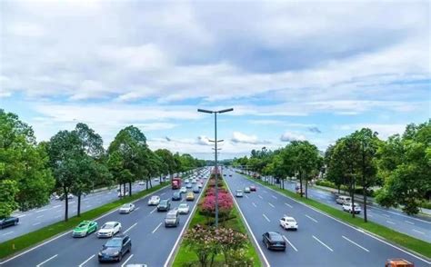 数字化：供应链发展的“必选题” 知乎