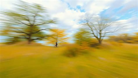 Motion Parallax Unveiling Depth Perception In Psychology