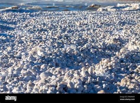 Snow Frost And Wind Create Irregularly Shaped Ice Balls On The Shores