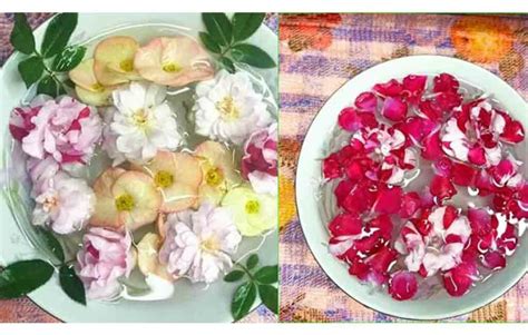 အသက်သေလုမျောပါး ဖြစ်နေသူတွေကို အသက်ပြန်ရှင်လာအောင် လုပ်ပေးနိုင်တယ်လို့ ယူဆကြတဲ့ မာလာရေစင်ကပ်နည်း