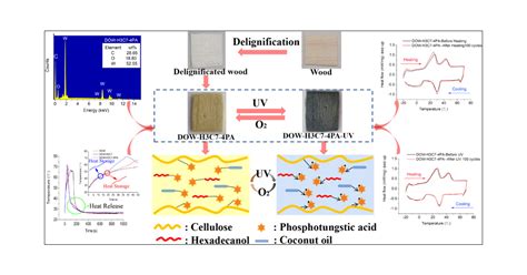 Design And Construction Of Photochromic And Antileakage Reinforced Wood