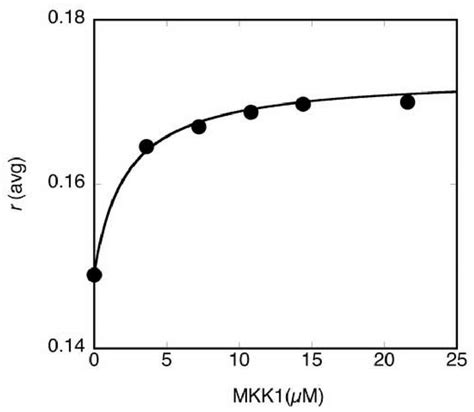 Fluorescence Anisotropy Binding Assay To Measure The Binding Of Mp1 To Download Scientific