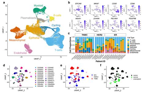 科研盘点 单细胞 空间转录组联合在乳腺癌研究中的应用 进行 组织 异质性