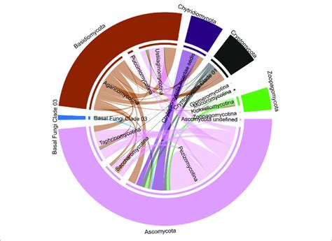 Chorddiagramm Representing Potential Antagonistic Interactions Among