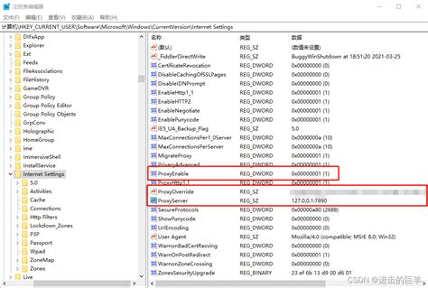 【python】读取windows代理信息proxyenable Csdn博客