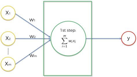 Perceptron The Building Block Of Modern AI