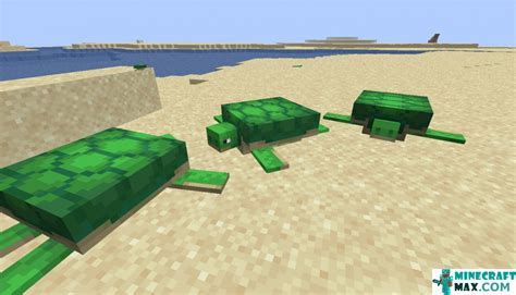 How To Make Turtle In Minecraft Minecraft