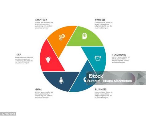 그래프의 원 요소 6 단계 옵션 부품 또는 프로세스와 다이어그램 인포그래픽 프레젠테이션을 위한 템플릿입니다 0명에 대한 스톡 벡터 아트 및 기타 이미지 Istock