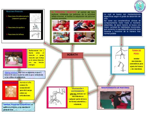 Tecnica De Bobath Pdf Músculo Esquelético Medicina Clinica
