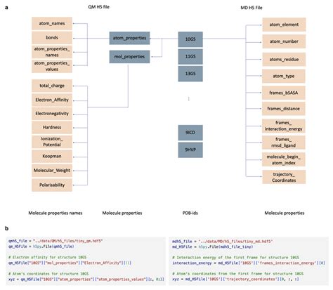 Data Hierarchy Of The QM And MD Files Download Scientific Diagram