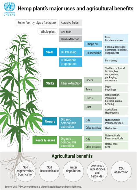😯 Holi Hemp 18 6bn Opportunity Readon