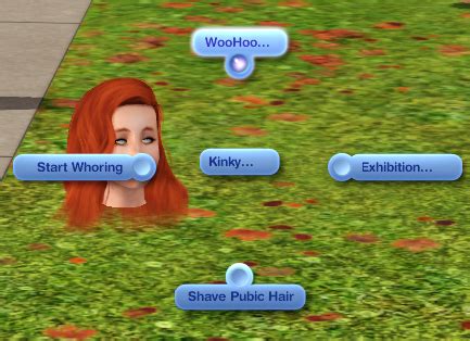 Sims 3 WIP OoOLaLa City S Sex Animations For Kinky World Passion TS3 Animated Penis