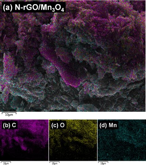 A SEM Micrograph Of N RGO Mn O And The EDX Color Mapping For Download Scientific