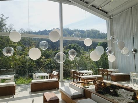 피로연장소꾸미기웨딩결혼식프러포즈웨딩풍선결혼식풍선웨딩애견동반카페 네이버 블로그