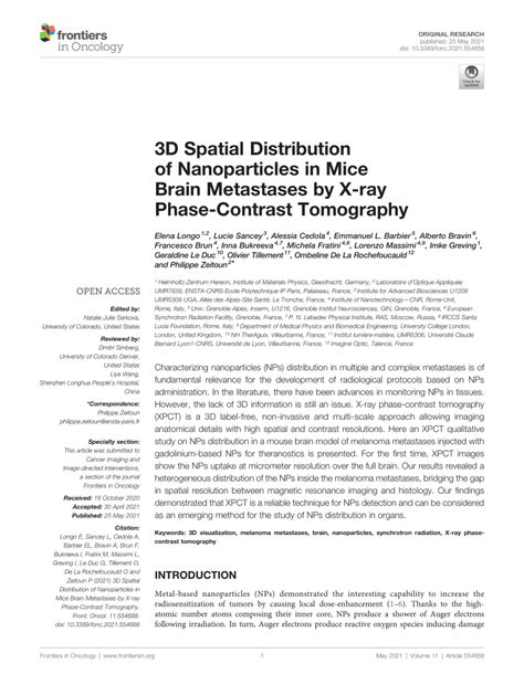 Pdf 3d Spatial Distribution Of Nanoparticles In Mice Brain Metastases By X Ray Phase Contrast