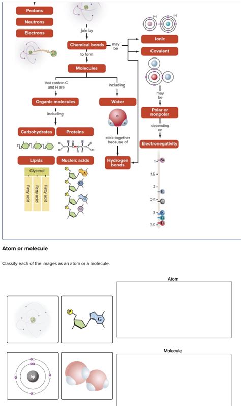 solved classify each of the images as an atom or a molecule