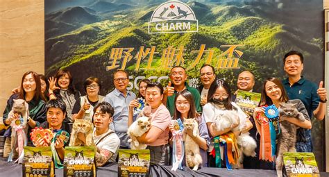 野性魅力盃國際貓展高雄登場 地方 創新聞
