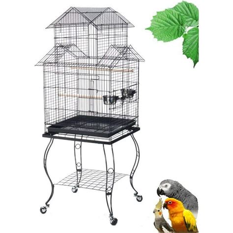 Green Cheek Conure Cage Setup At Dakota Bunce Blog