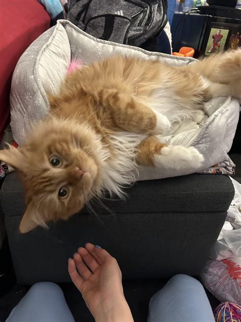 He Doesnt Dangle His Legs Or Arms But His Whole Head Instead R Danglers