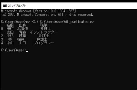 Pandasにおけるdataframeで重複をカウントする Men Of Letters（メン・オブ・レターズ） 論理的思考業務改善