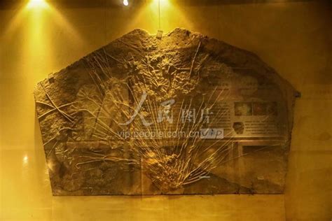 霞光掩映下的贵州关岭古生物化石群国家地质公园 人民图片网