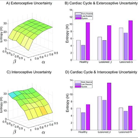 Computational Neuroanatomy Of Interoception The Schematic Above Shows Download Scientific