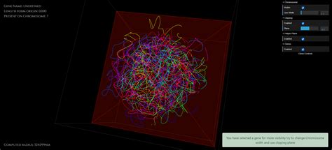 Github Reynir007chromosome Visualiser
