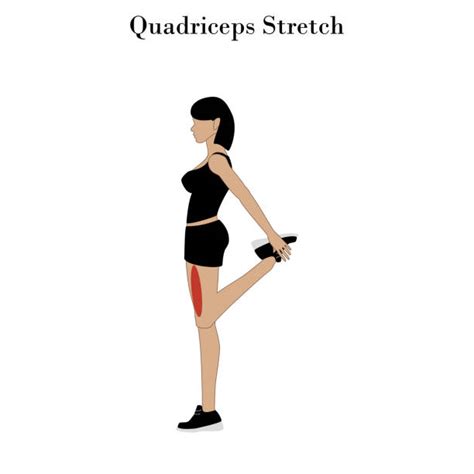 Quadriceps Stretching Exercises