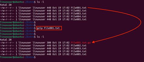 How To Compress Files In Linuxubuntu Terminal Linux Genie
