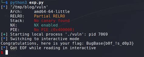 Introduction To Binary Exploitation Exploiting Buffer Overflows