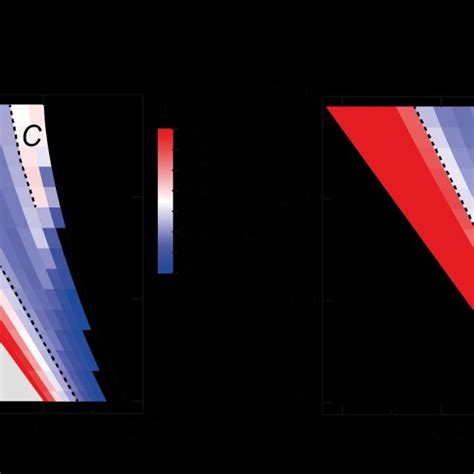 Regions With Distinct Clonal Fragmentation In The Vertex Model