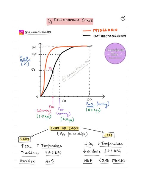SOLUTION Oxygen Transport Studypool