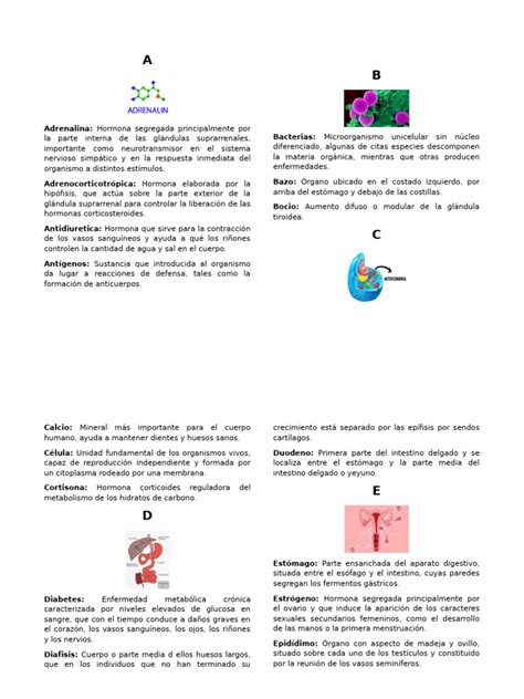 Diccionario Científico Pdf Hormona Sangre