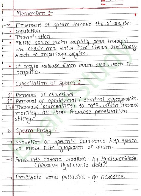 Ncert Class 12 Biology Human Reproduction Notes Handwritten Notes And Pdf Download