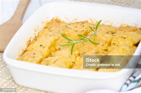 캐러멜화된 양파와 그뤼에르 파르메산 치즈를 곁들인 가리비 감자 그라탕 0명에 대한 스톡 사진 및 기타 이미지 0명 감자 그라탕 감자 요리 Istock