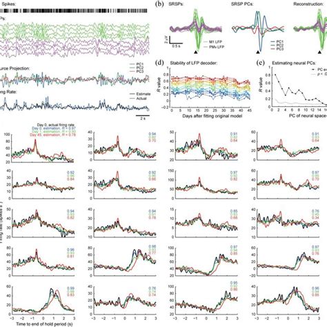 A Spikes From An Example Single Neuron And Example Low Frequency