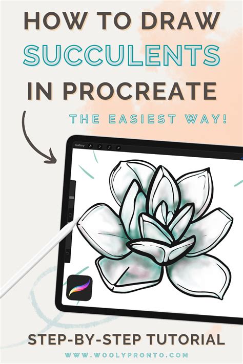 Easiest Way To Draw Succulents In Procreate Wooly Pronto Procreate App Tutorial Procreate