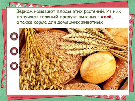 Искусственные природные сообщества созданные человеком пруд поле парк огород презентация