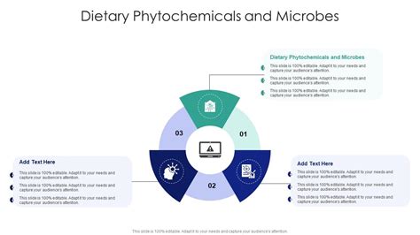 Dietary Phytochemicals And Microbes Ppt Powerpoint Cpp Ppt Powerpoint