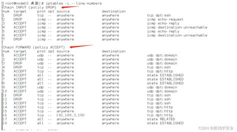 Iptables（防火墙）详细教程iptables教程 Csdn博客