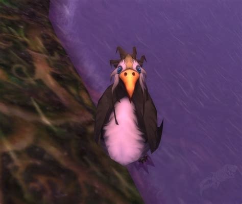 Pebbles Pebble Item Wotlk Classic