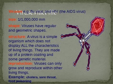 Презентация Lecture 13 Microbe And Disease Immune System