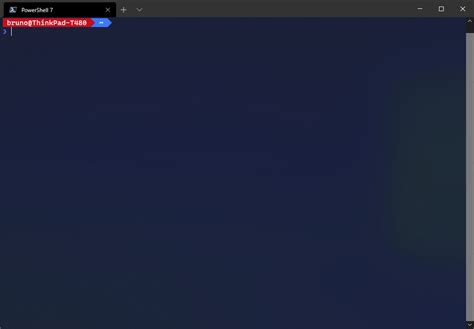 Empty Line Before Prompt After Using Clear Host · Issue 2276