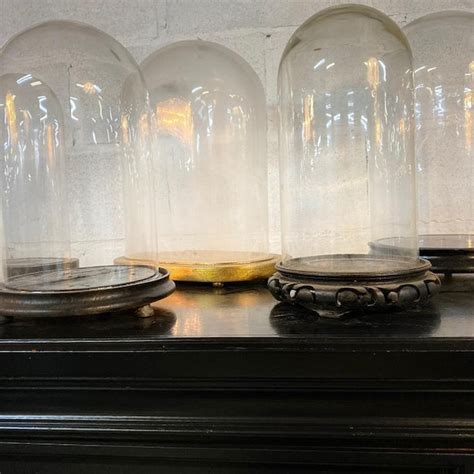 Glass Bell Jars Etsy