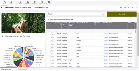 Intermediate Training Excel To Quickbase Quickbase